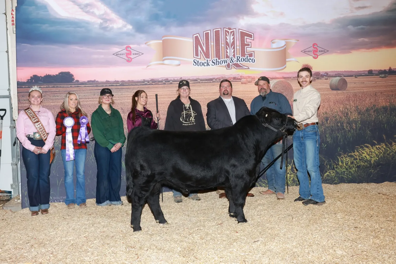 Aberdeen Cattle - Archer Valley Ranch